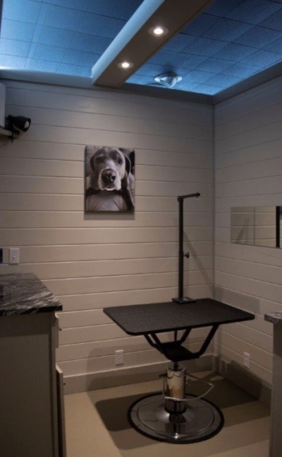 SPAW – Defining the Ultimate Spaw Day Experience for Your Pup